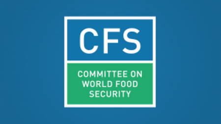 CFS 52: Together for a Sustainable Future - Federal Foreign Office